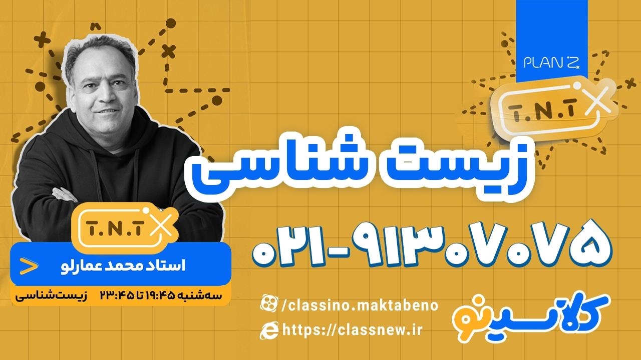 پلن زد زیست کنکور 1404 عمارلو (کلاسینو) - نماشا